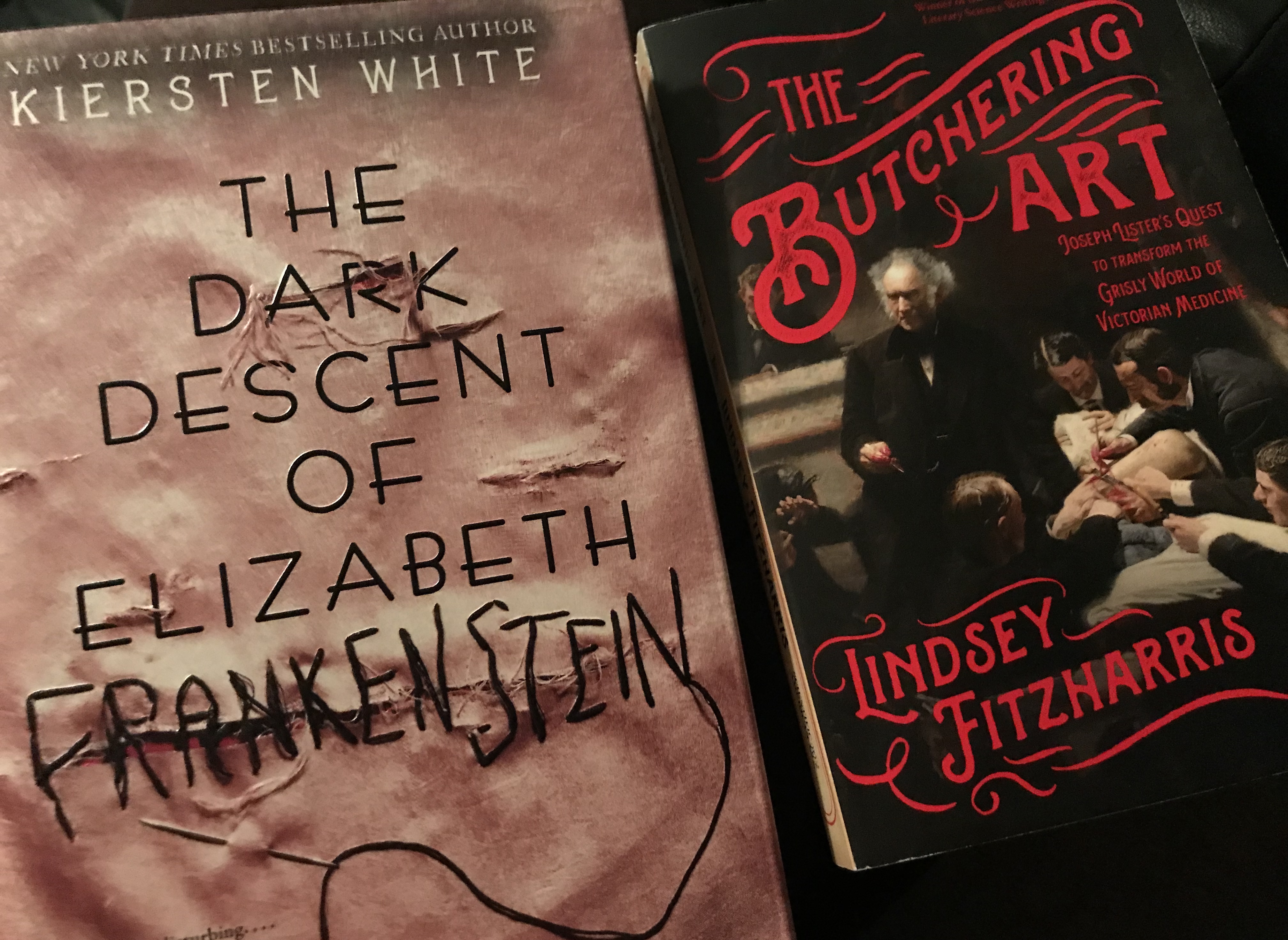 Book Reviews: The Dark Descent of Elizabeth Frankenstein & The ...